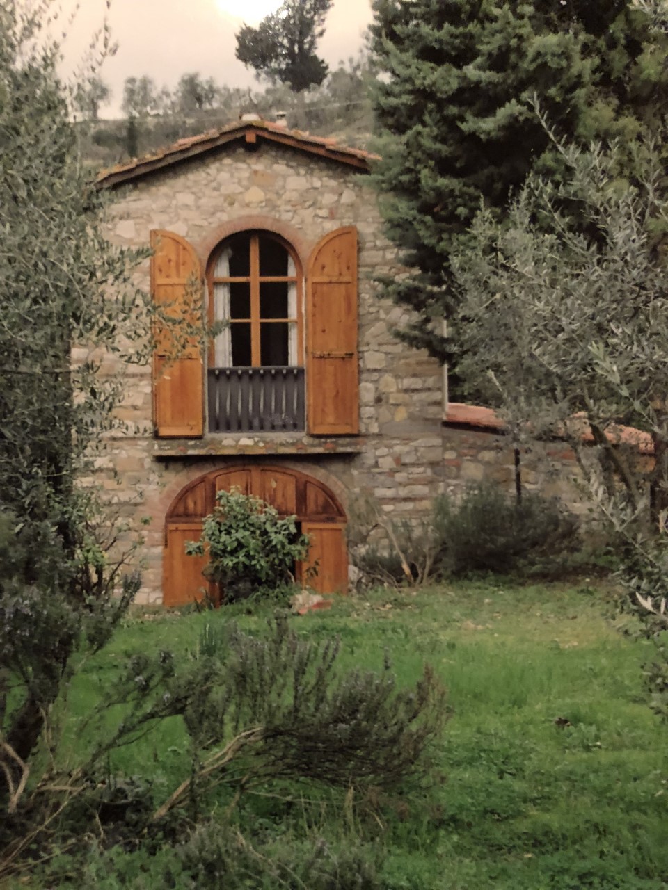 Cucina Tipica: An Italian Adventure • Italia Living