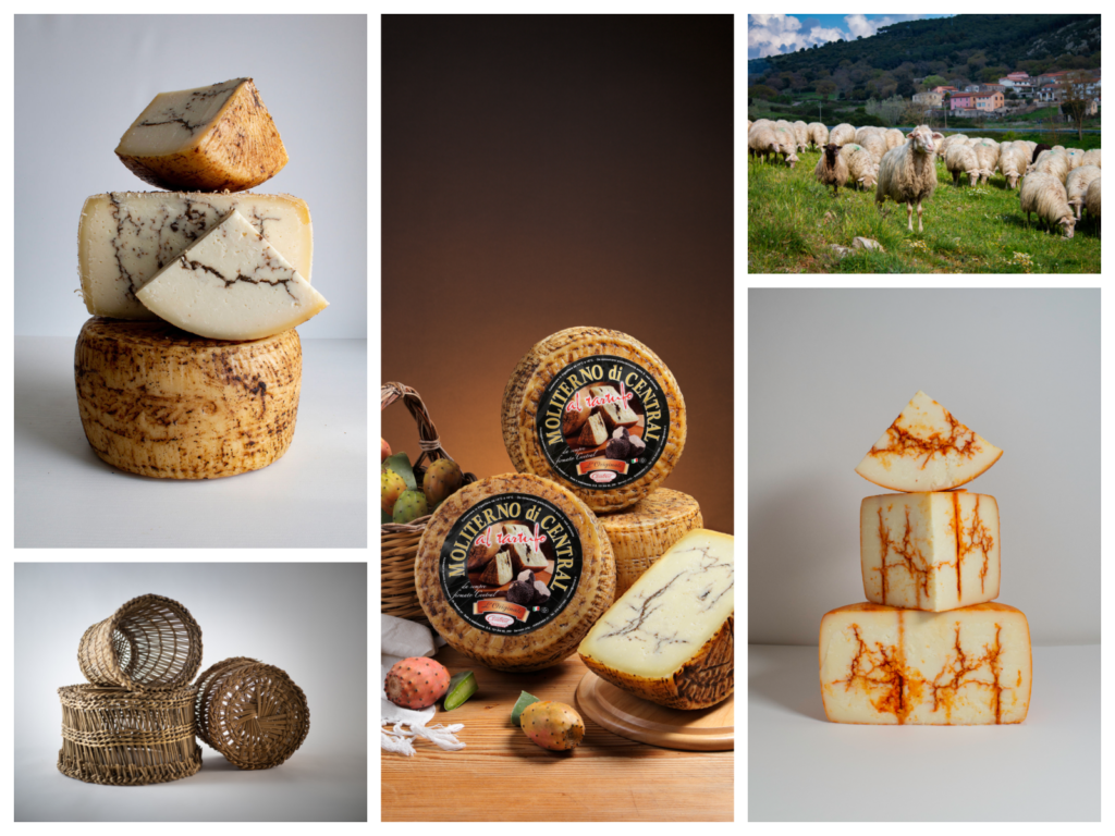 A Slice of Sardinia with Central Formaggi • Italia Living
